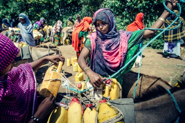 C4ED – Zusammenführung von Investitionen und Fachwissen für ...