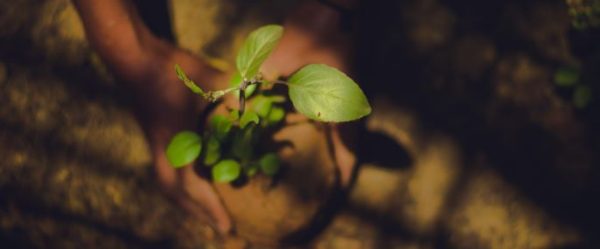 C4ED – Uniting investments and expertise for smart development solutions