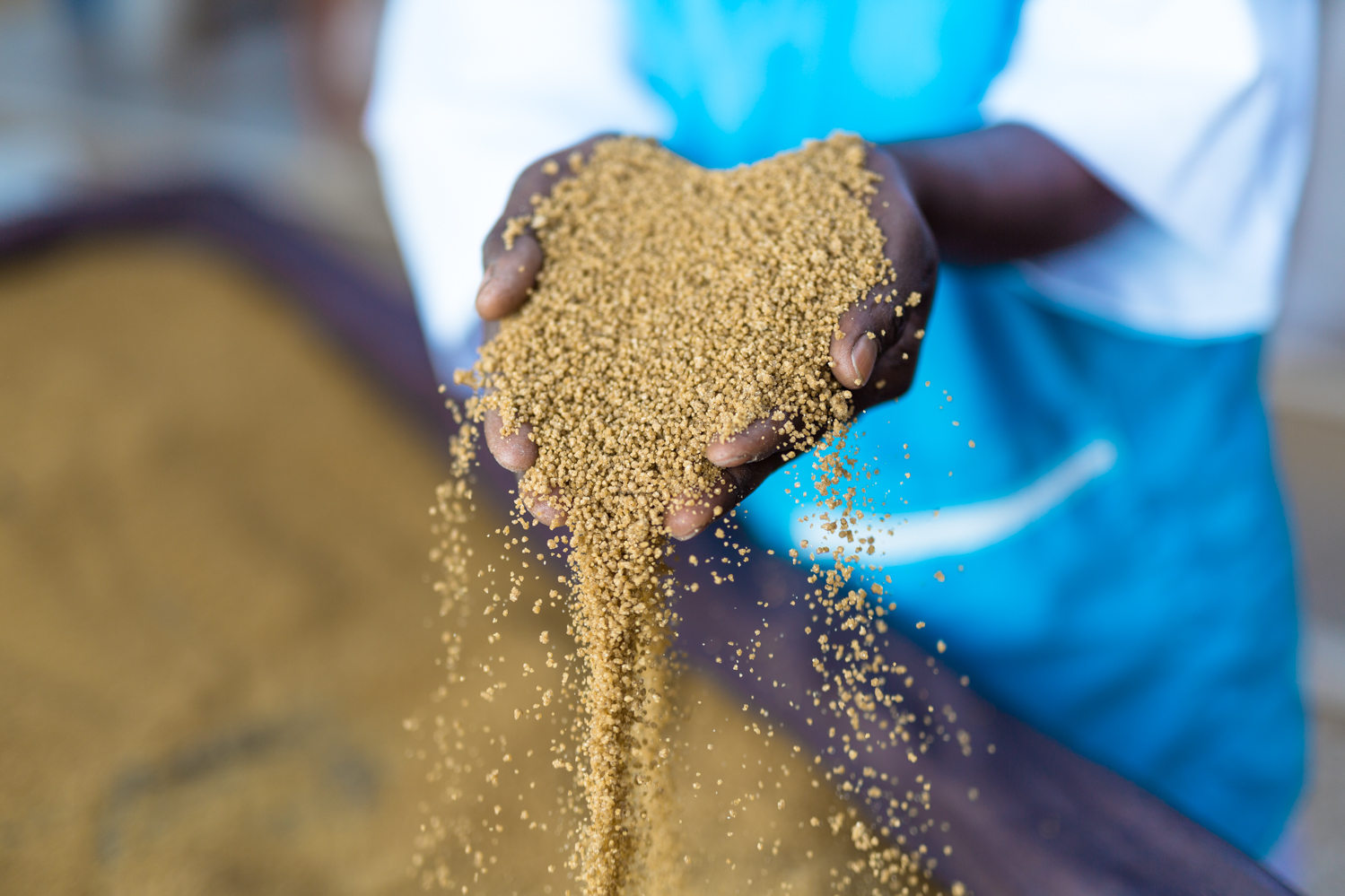 C4ED Downloads – C4ED